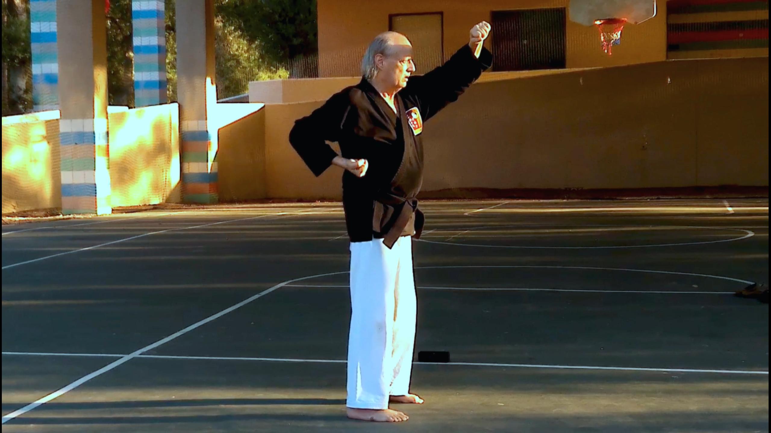 High Block - Sensei Lindgren's Okinawa-Te Page