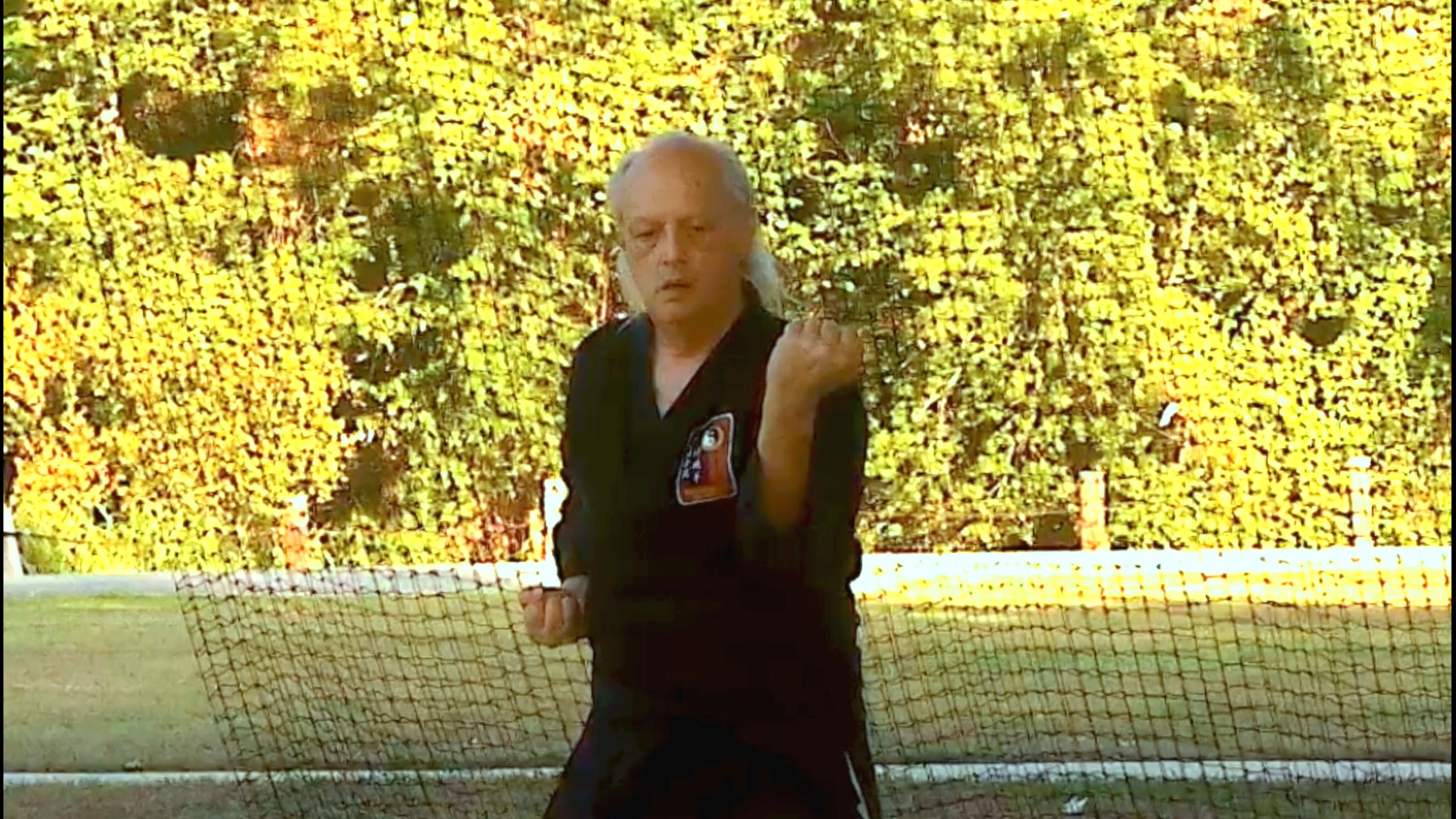 Middle Block - Sensei Lindgren's Okinawa-Te Page