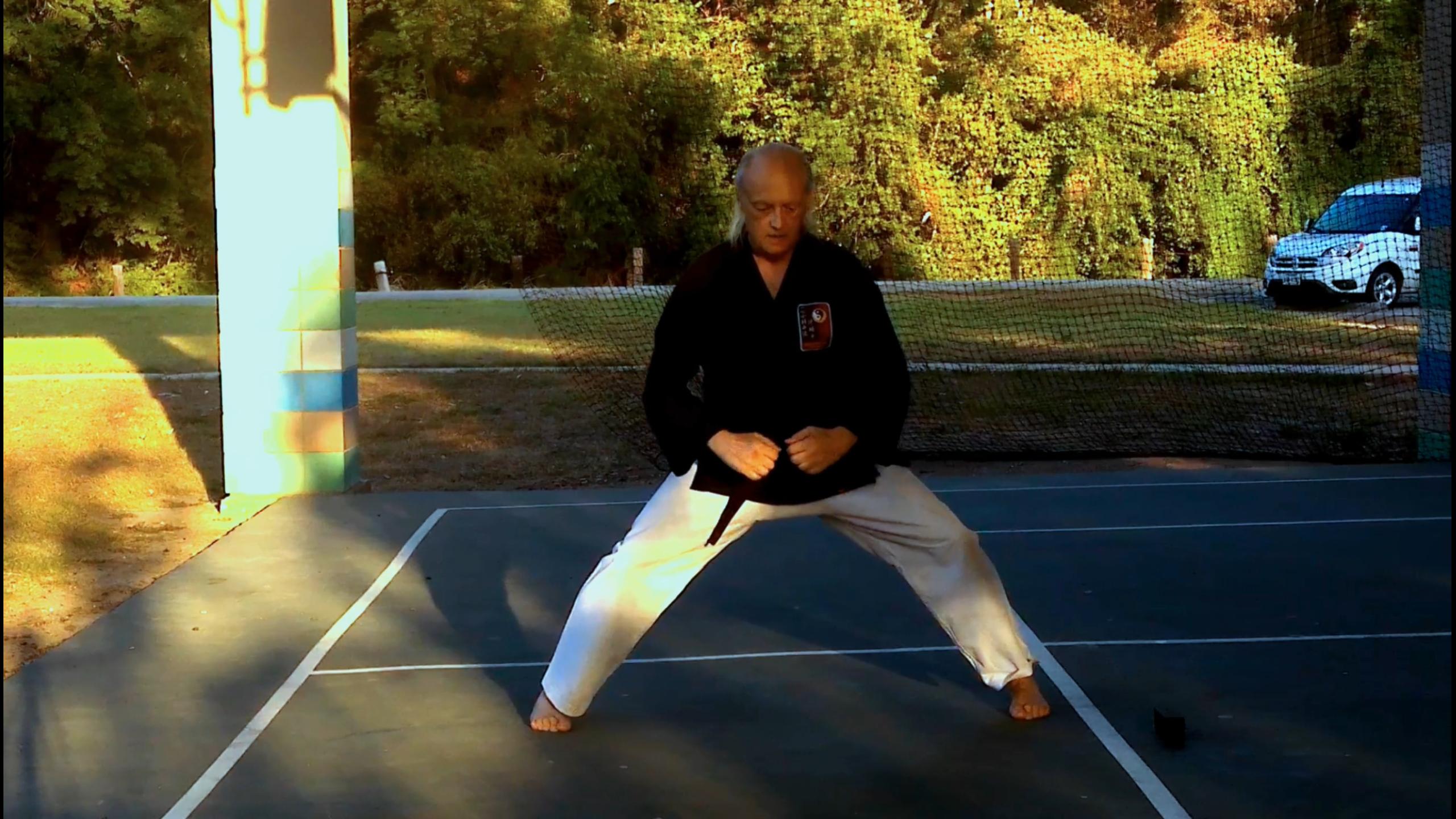 Horse Stance "Kiba Dachi" - Sensei Lindgren's Okinawa-Te Page