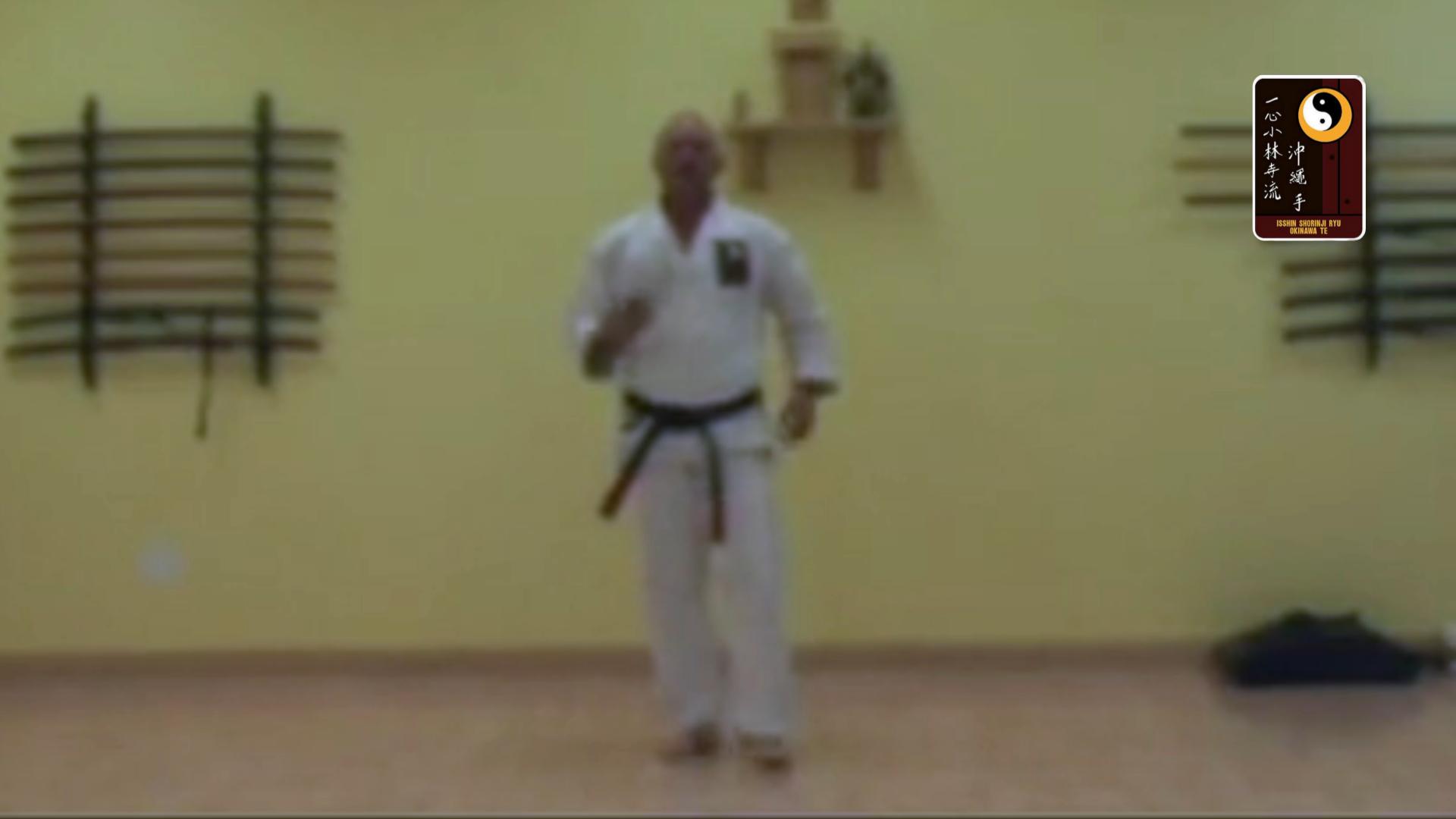 Tekagu Sai - Sensei Lindgren's Okinawa-Te Page